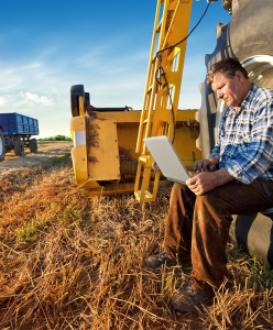 Plant Sap Analysis - 1 Set - CHL